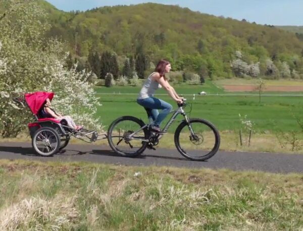 JOSI-Wismi Rehab Buggy - Medical Plus