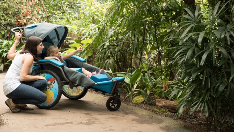 JOSI-Wismi Rehab Buggy - Medical Plus
